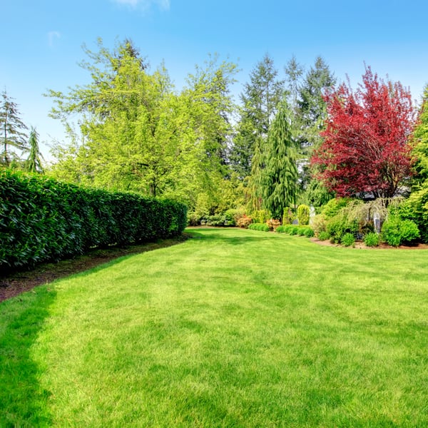 Custom Homes and Lot Sizes: 5 Things to Consider