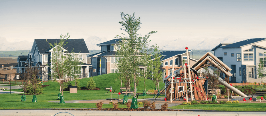 Calgary Community Focus: Harmony