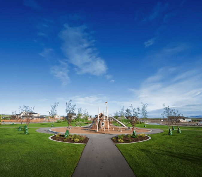 Calgary Community Focus: Harmony